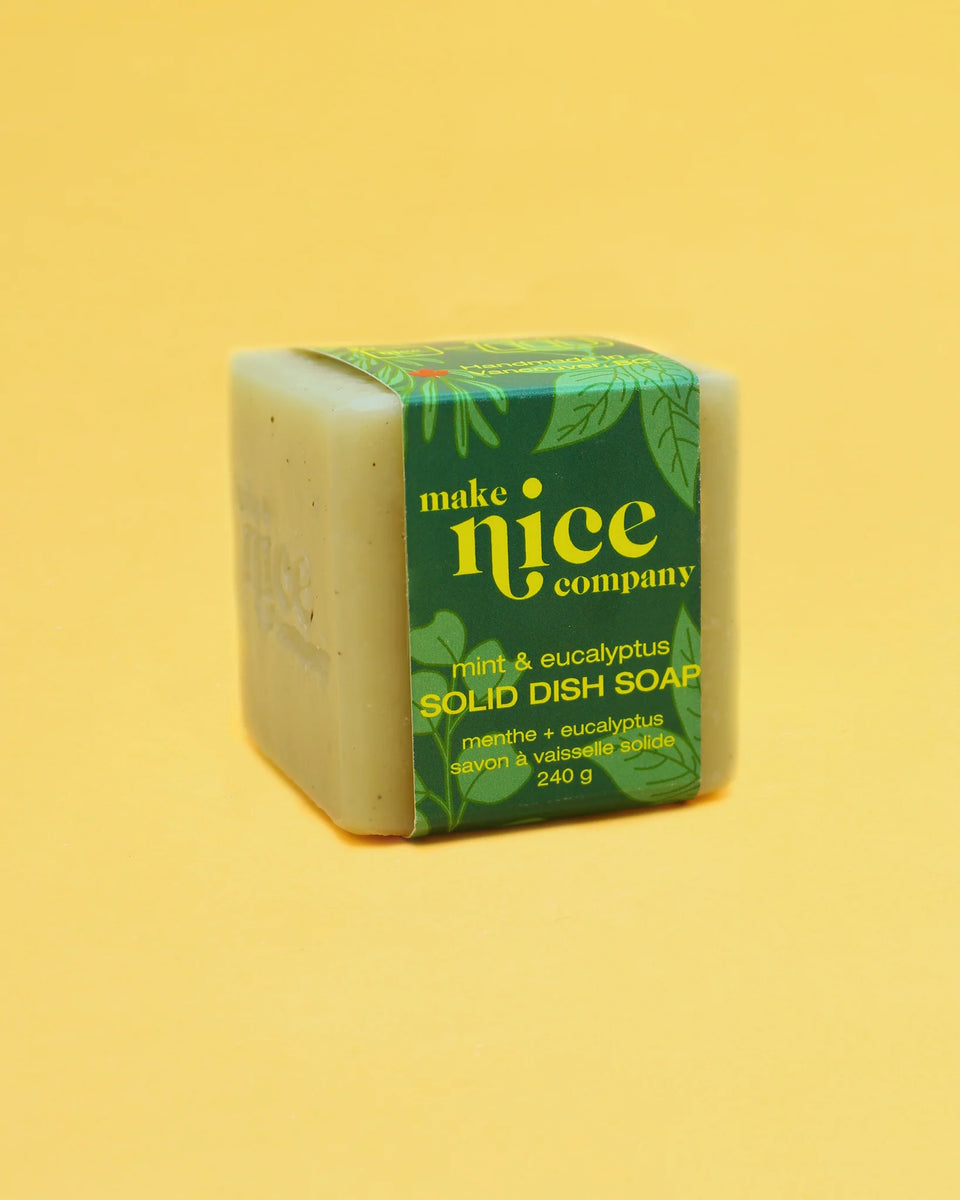 Make Nice Company - Mint Eucalyptus Solid Dish Soap – The Simple Concept